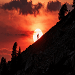 Viidure - A Universal Dash Cam APP | Official Website